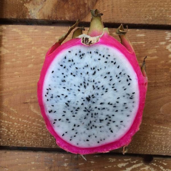 Comprar Pitahaya, Pitaya, Fruta del Dragón | Huerta Tropical