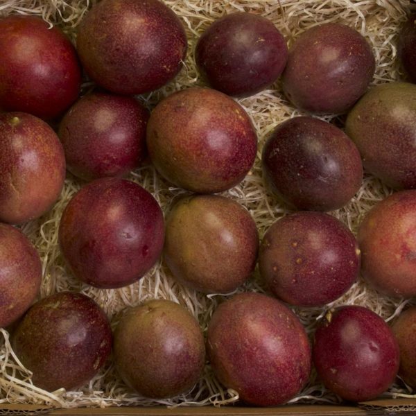 Comprar maracuyá o fruta de la pasión | Huerta Tropical