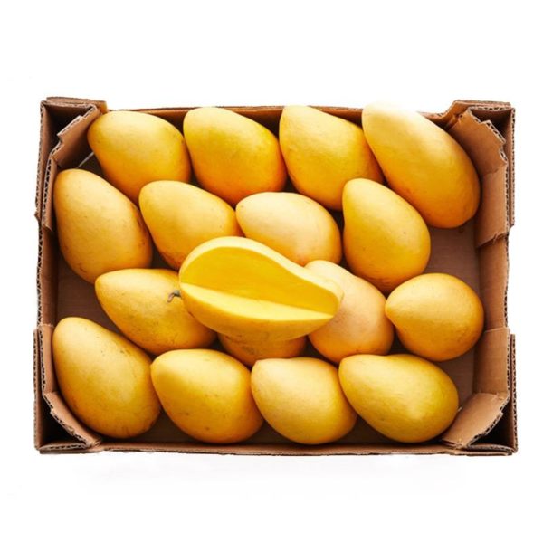 Comprar Mangos Ataulfo online a domicilio | Huerta Tropical